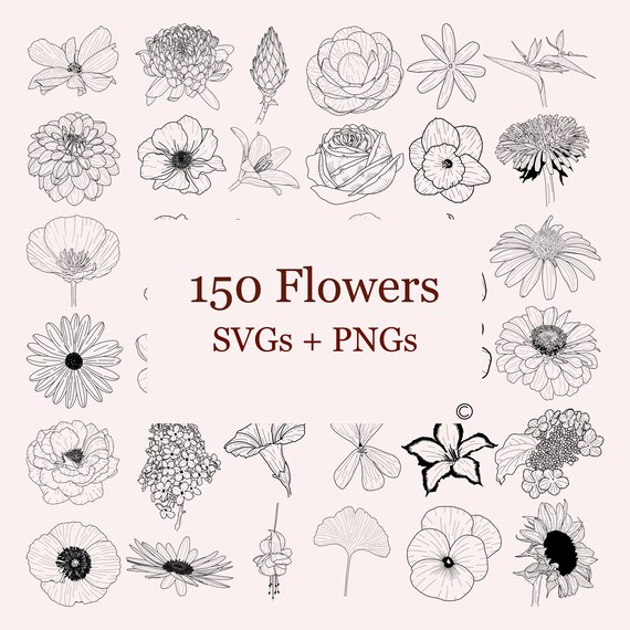 150 Flower Svg Bundle Floral Svg Bundle flower Cut Files - Etsy Australia