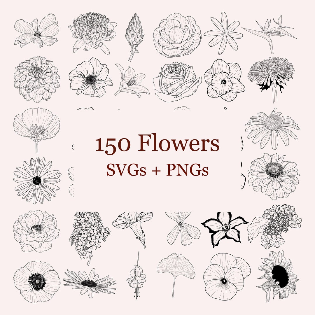 150 Flower Svg Bundle | Floral Svg Bundle |flower Cut Files | Hand ...