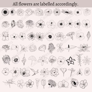 150 Flower Procreate Brushes | Flower Stamps | Procreate Stamps ...