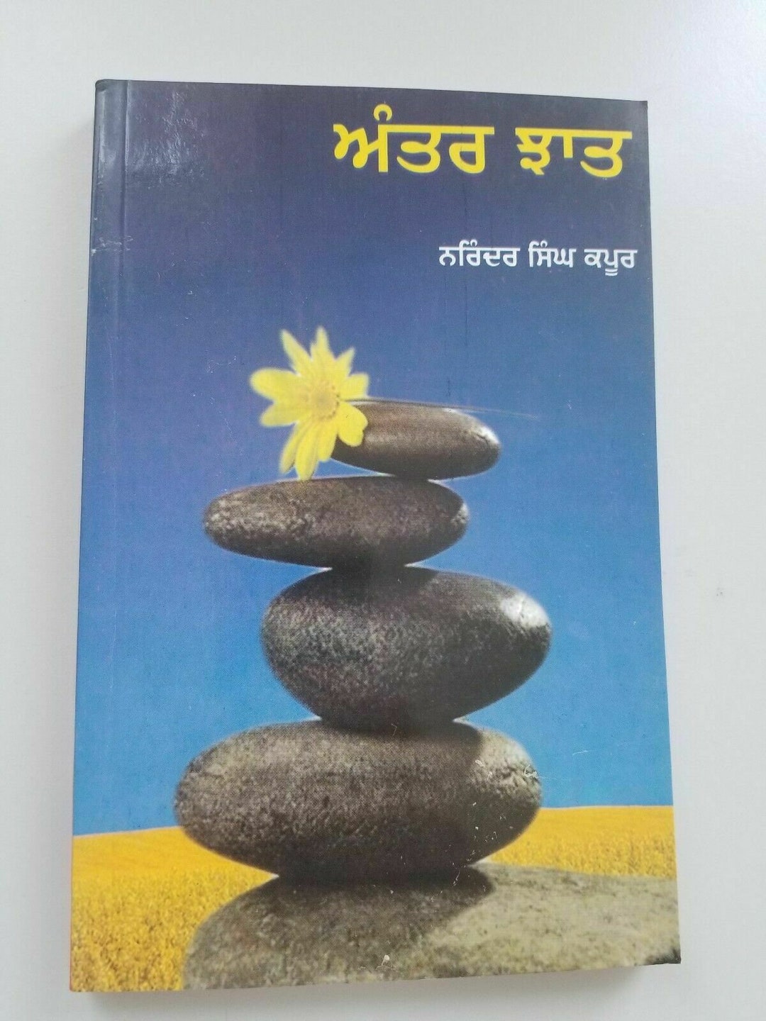 Antar Jhaat Narinder Singh Kapoor Punjabi Gurmukhi Best Reading Book B4 ...