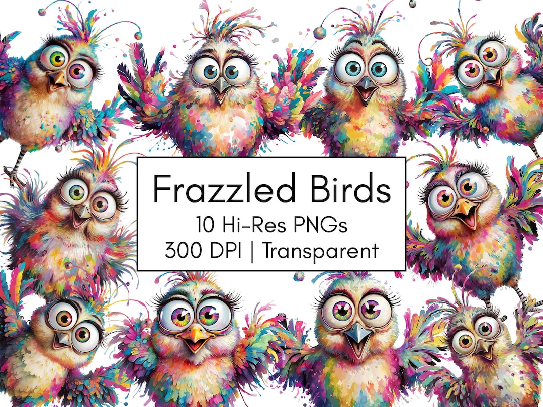 Quirky Bird Clipart Bundle, Frazzled Rainbow Bird PNG, Whimsical Bird ...
