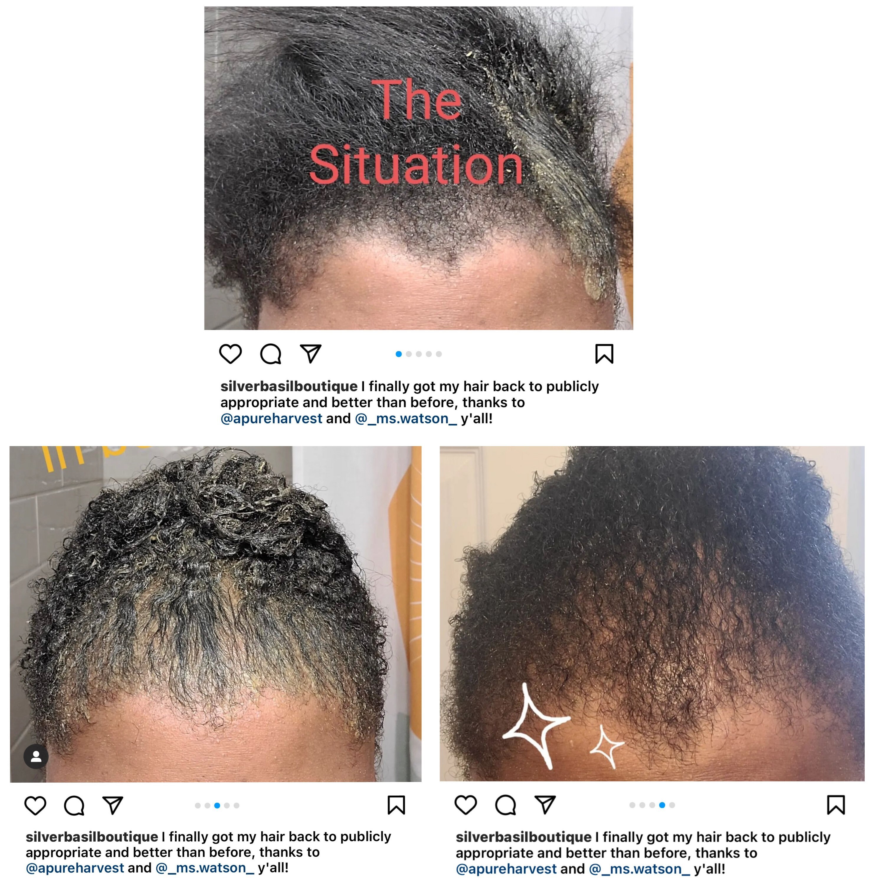 The Harvest Hair Mask - Etsy