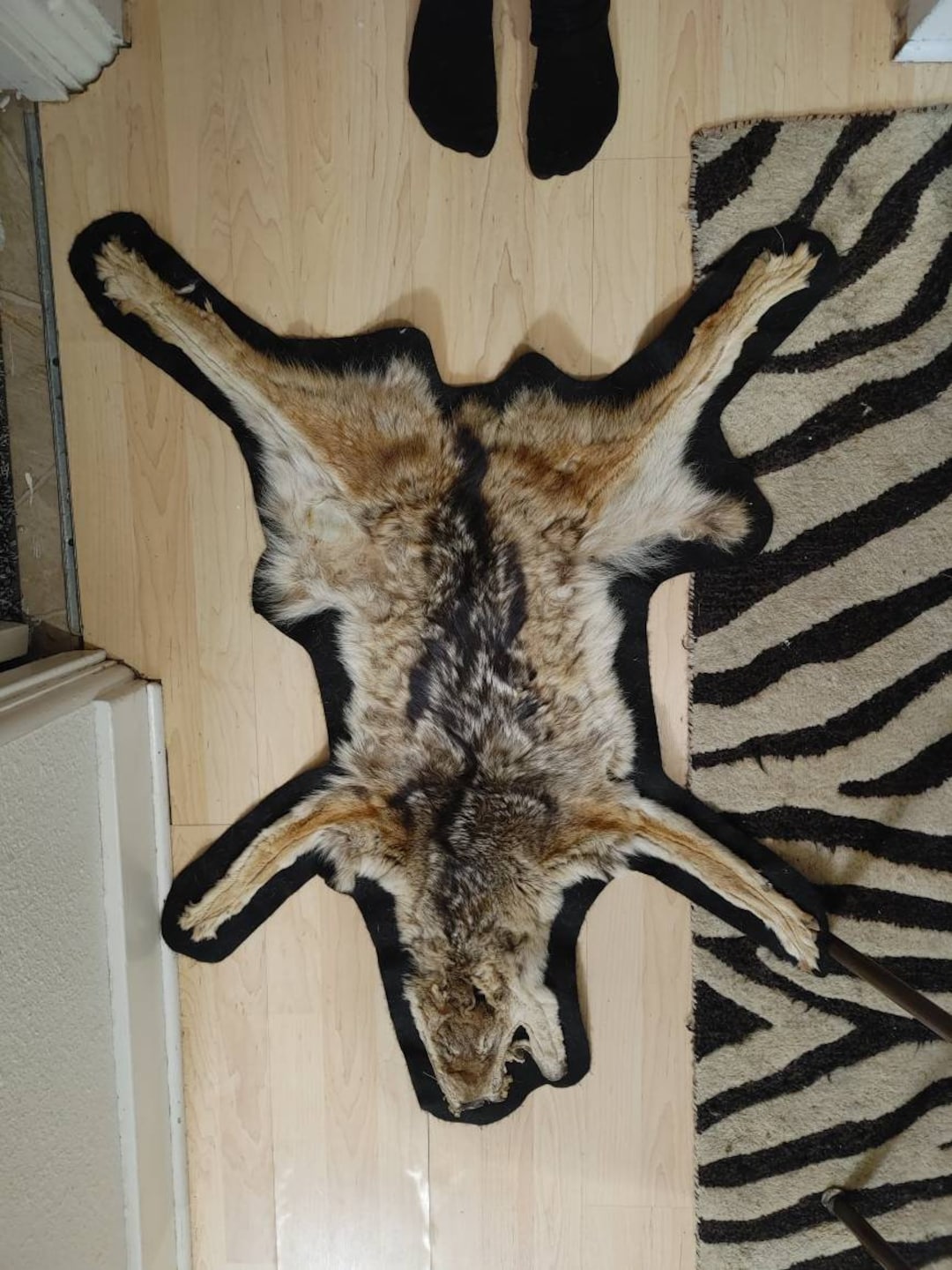 Vintage Real African Black Backed Jackal Pelt Rug - Etsy