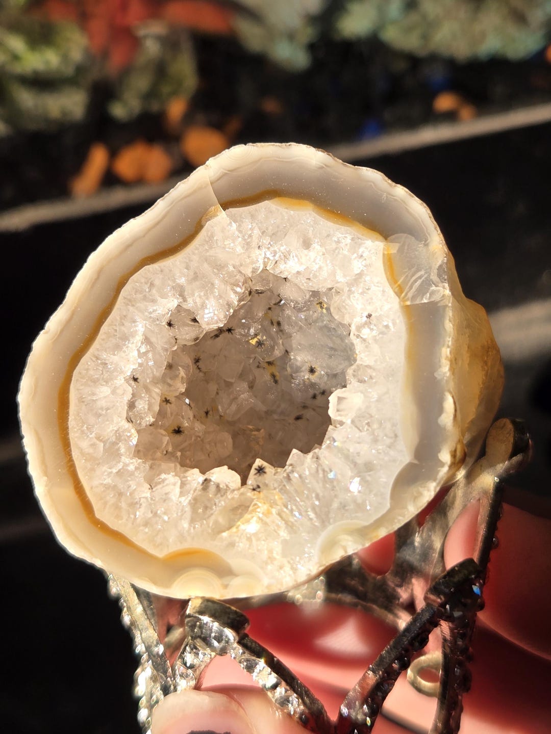 Small Geode With Star Inclusions - Etsy