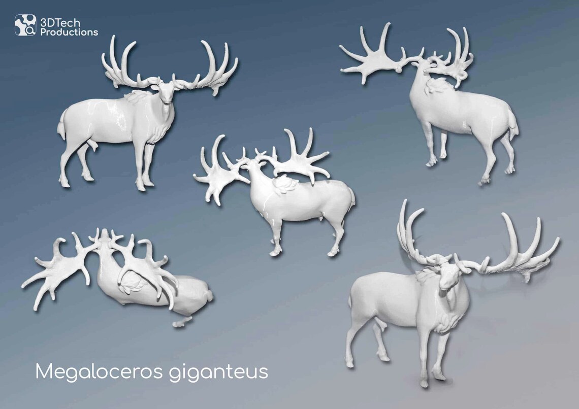 MEGALOCEROS GIGANTEUS Model Paleoartistic Reconstruction ...