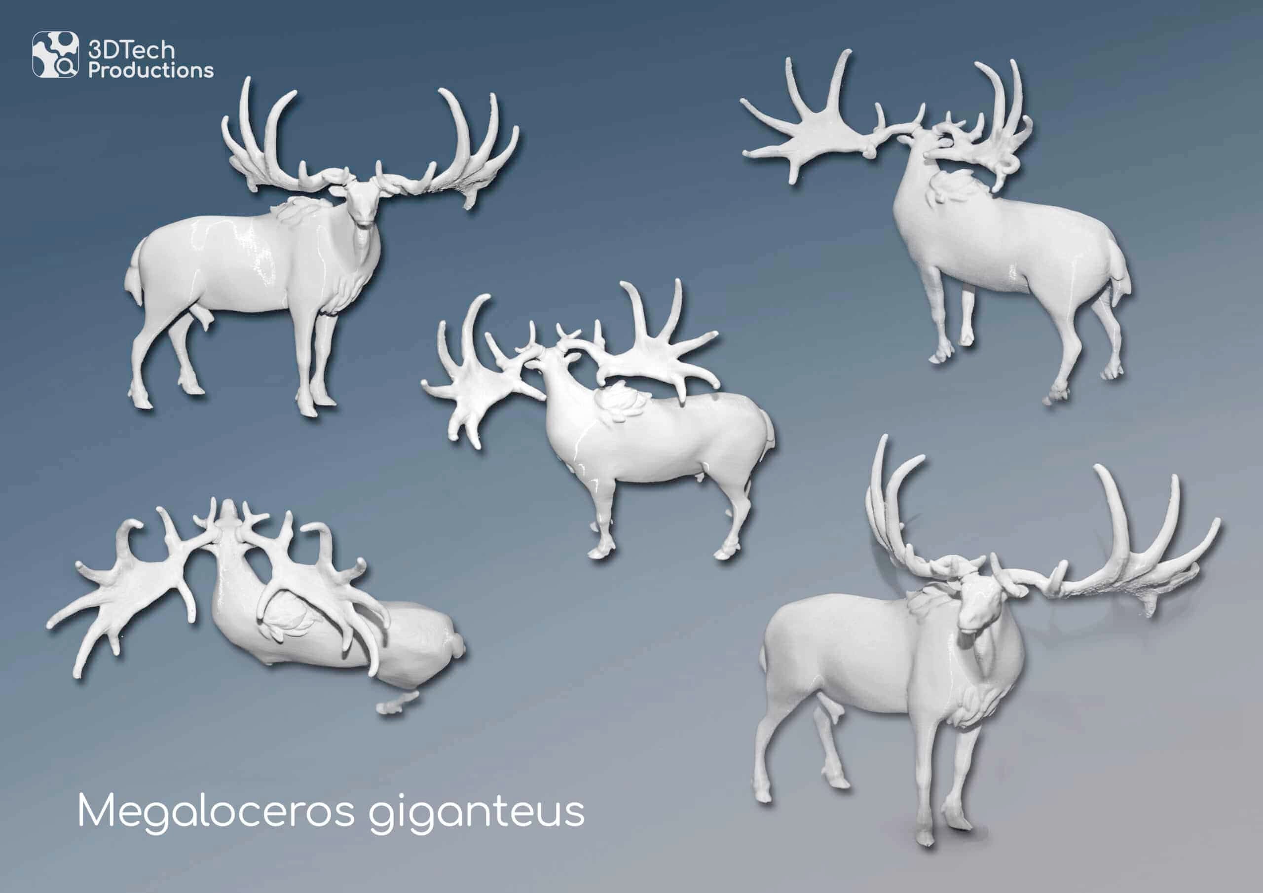 MEGALOCEROS GIGANTEUS Model Paleoartistic Reconstruction ...