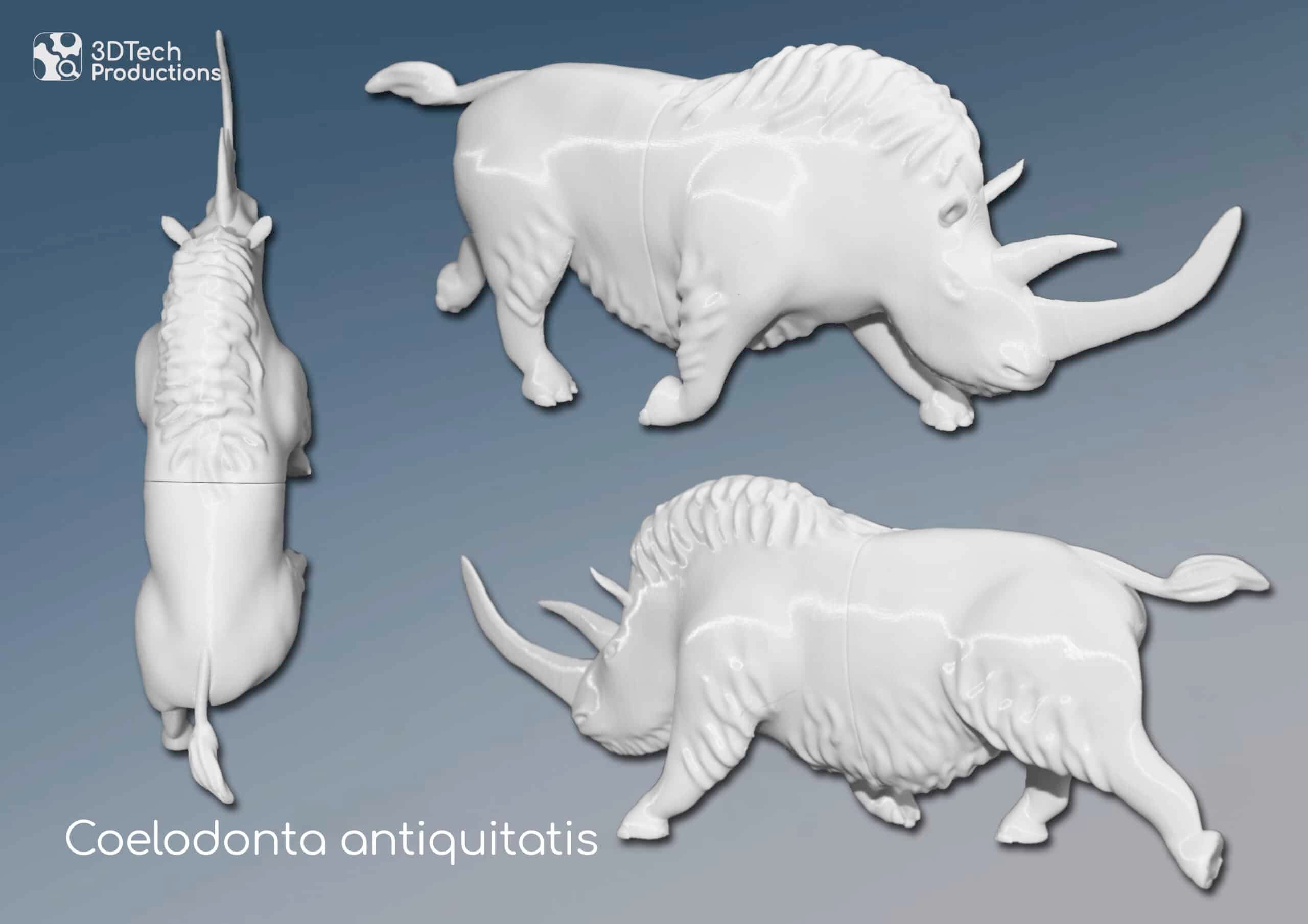 COELODONTA ANTIQUITATIS, Model, Paleoartistic Reconstruction ...