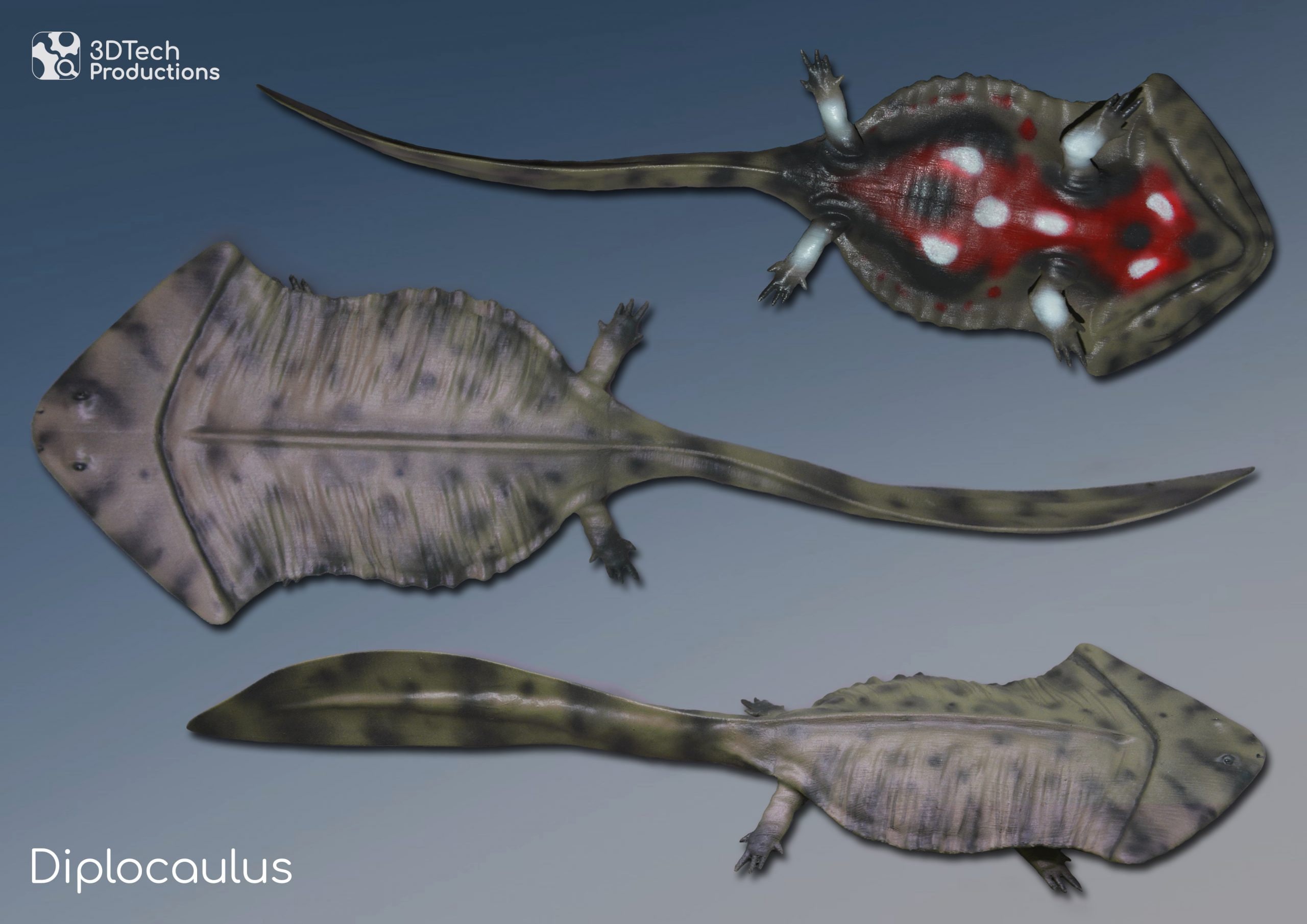 DIPLOCAULUS MAGNICORNI, Model, Paleoartistic Reconstruction ...
