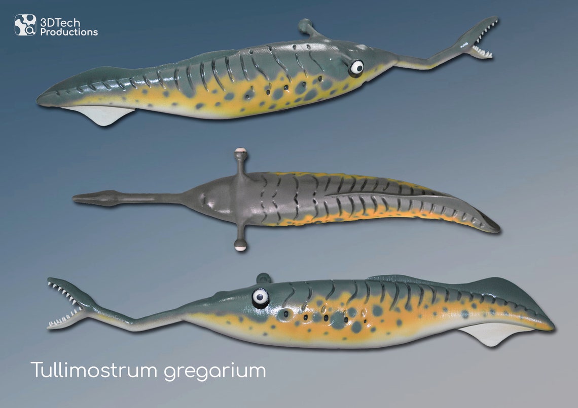 TULLIMONSTRUM GREGARIUM, Model, Paleoartistic Reconstruction ...