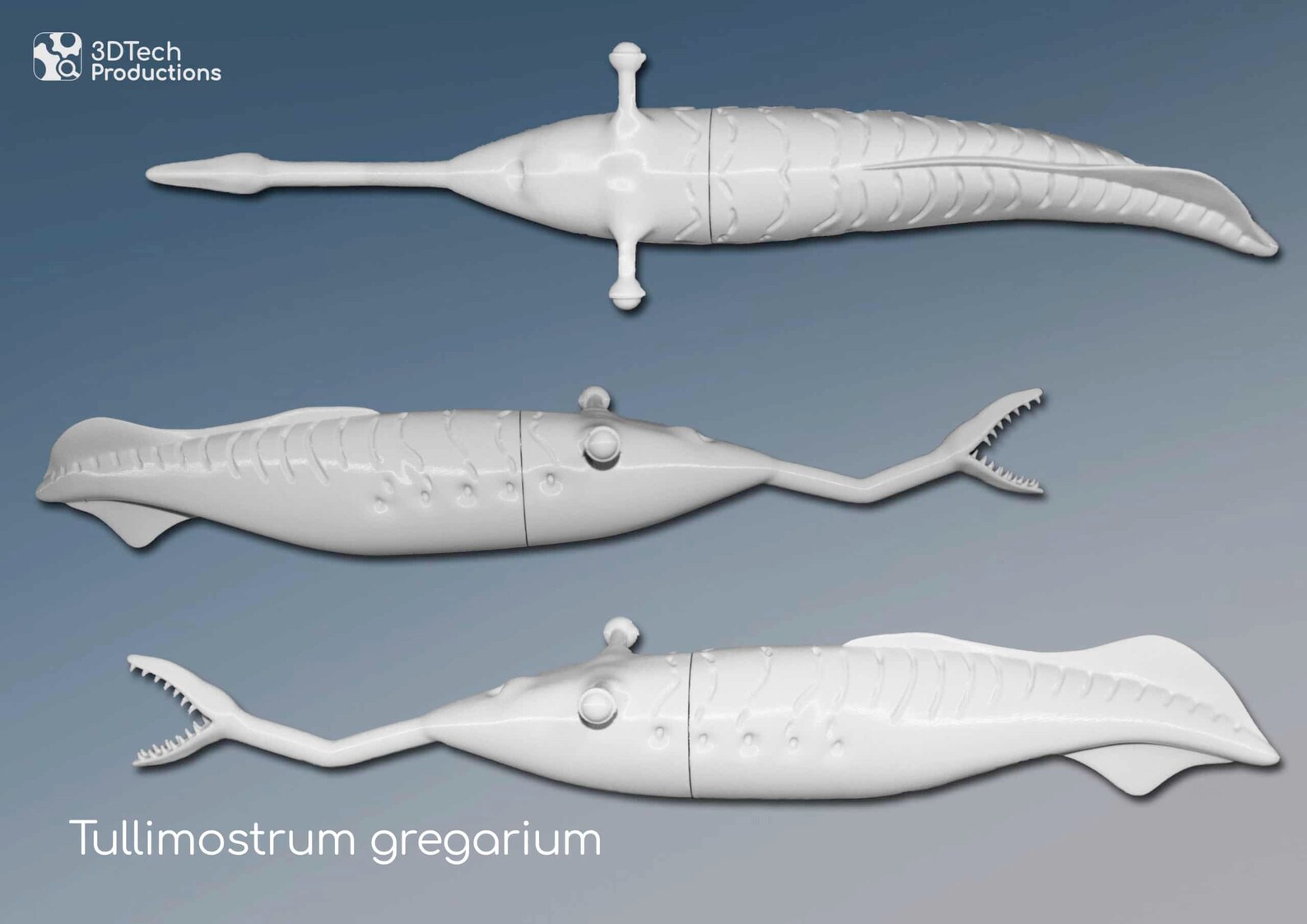 TULLIMONSTRUM GREGARIUM, Model, Paleoartistic Reconstruction ...