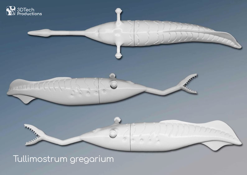 TULLIMONSTRUM GREGARIUM, Model, Paleoartistic Reconstruction ...