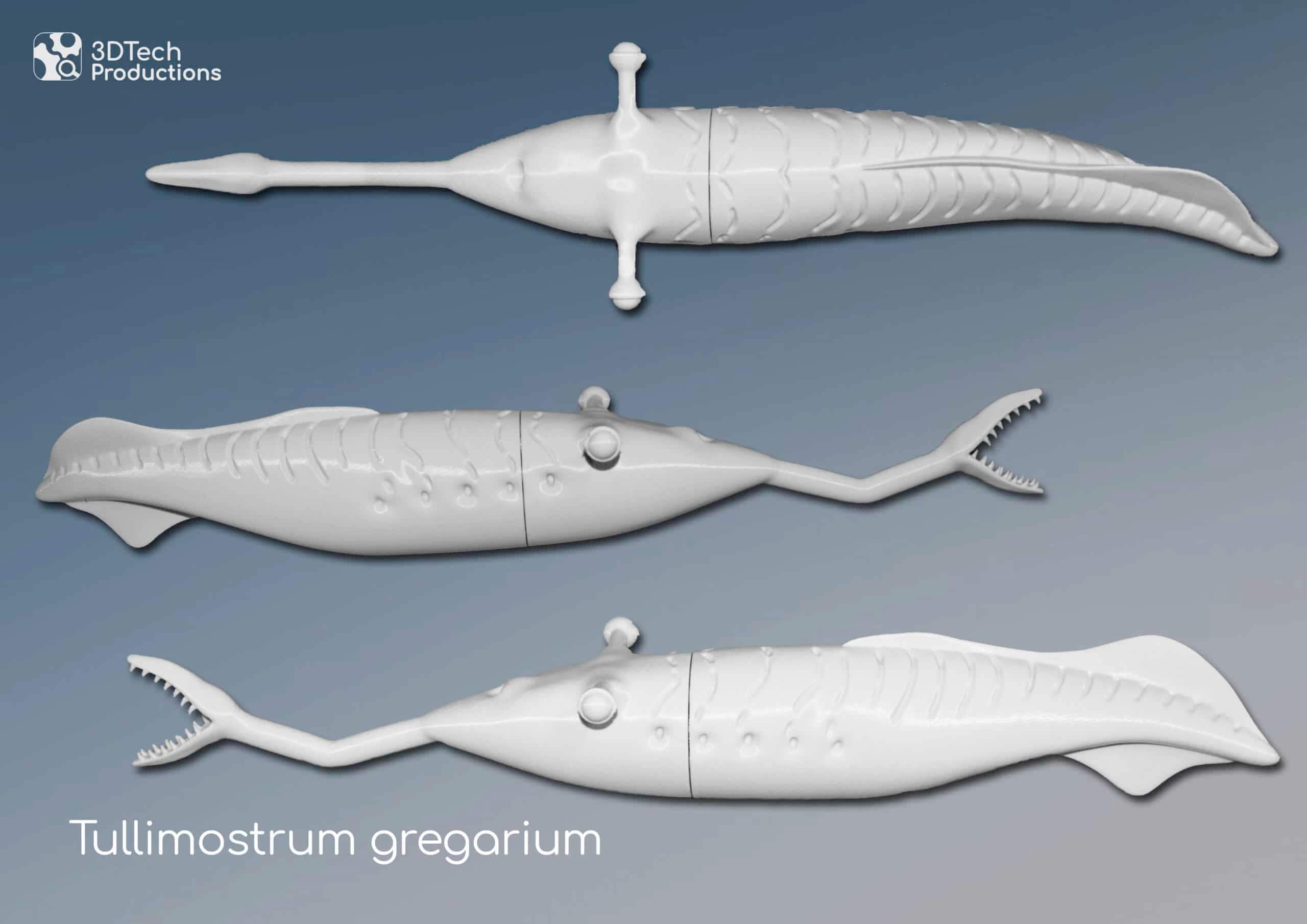 TULLIMONSTRUM GREGARIUM, Model, Paleoartistic Reconstruction ...