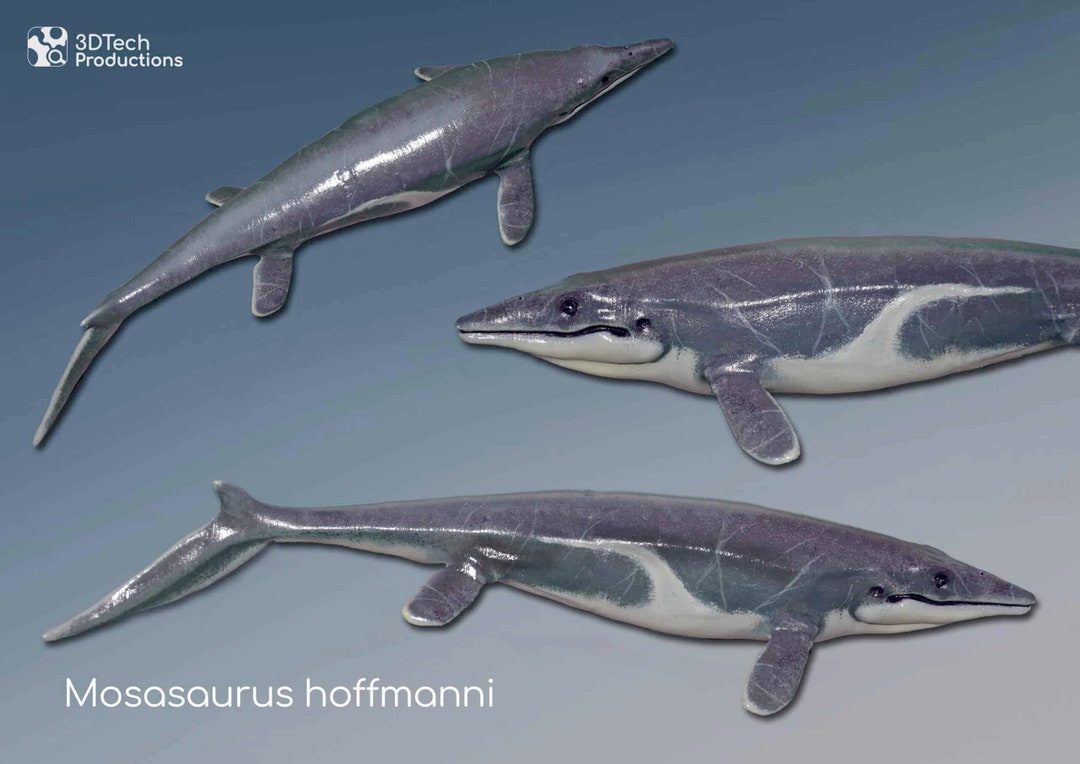 MOSASAURUS HOFFMANNI, 3D Print,scientifically Accurate Model ...