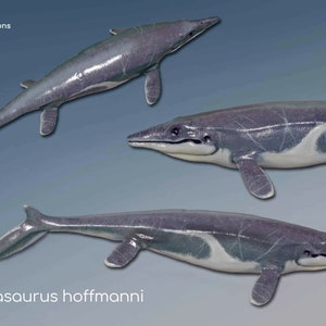 MOSASAURUS HOFFMANNI, 3D Print,scientifically Accurate Model ...