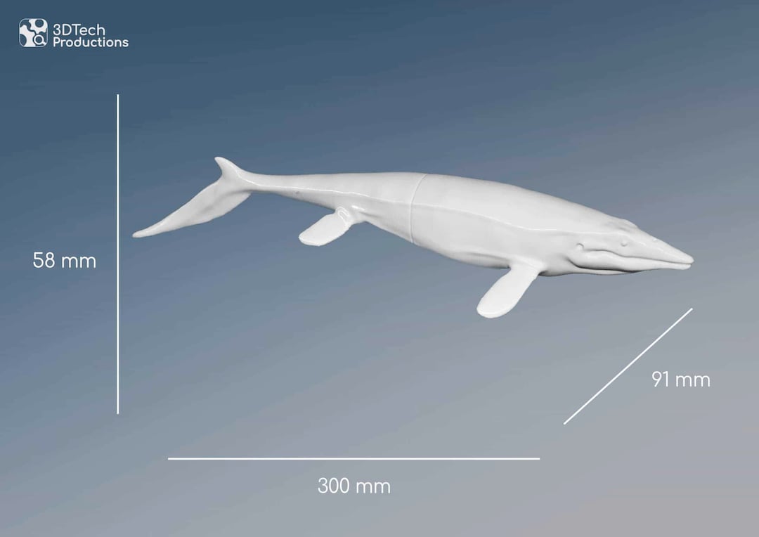 MOSASAURUS HOFFMANNI, 3D Print,scientifically Accurate Model ...