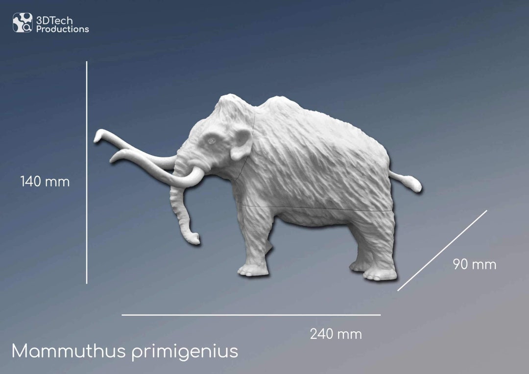 MAMMUTHUS PRIMIGENIUS, Mammuth Model, Paleoartistic Reconstruction ...