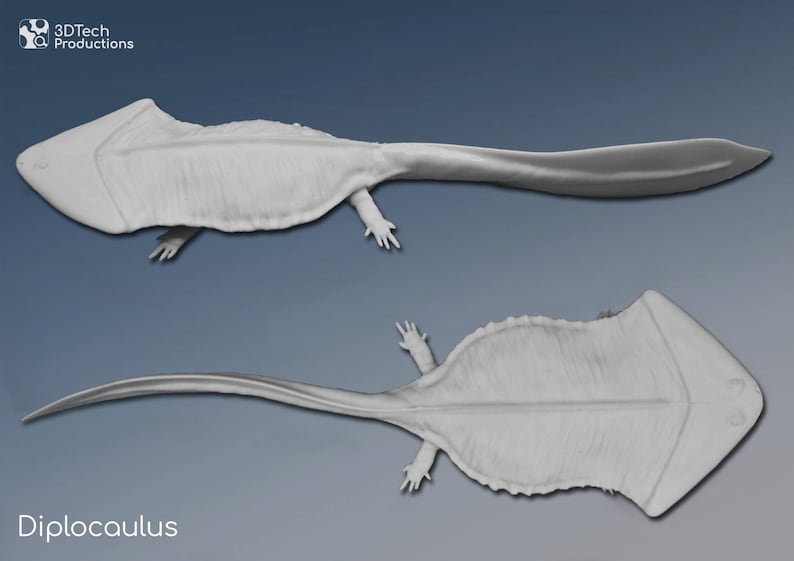 DIPLOCAULUS MAGNICORNI, Model, Paleoartistic Reconstruction ...