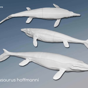 MOSASAURUS HOFFMANNI, 3D Print,scientifically Accurate Model ...