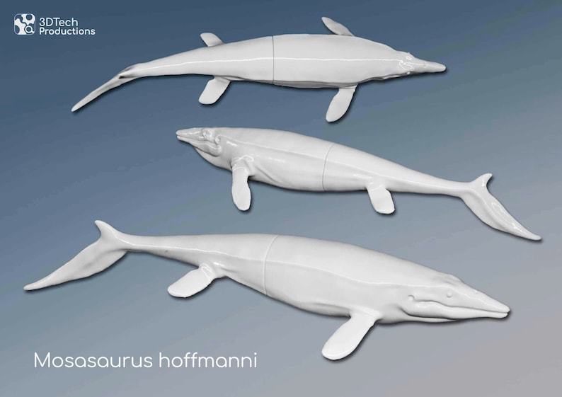MOSASAURUS HOFFMANNI, 3D Print,scientifically Accurate Model ...
