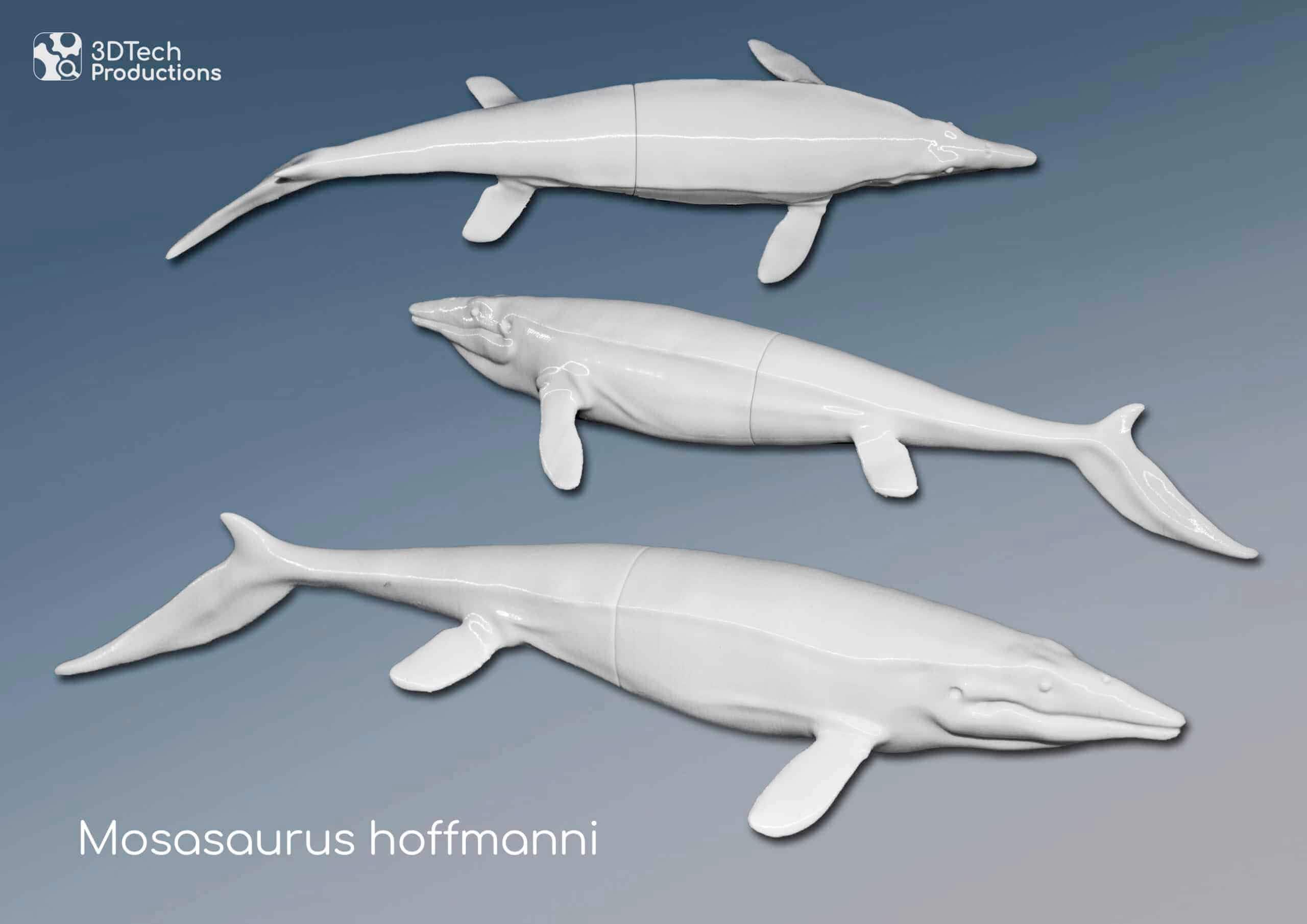 MOSASAURUS HOFFMANNI, 3D Print,scientifically Accurate Model ...