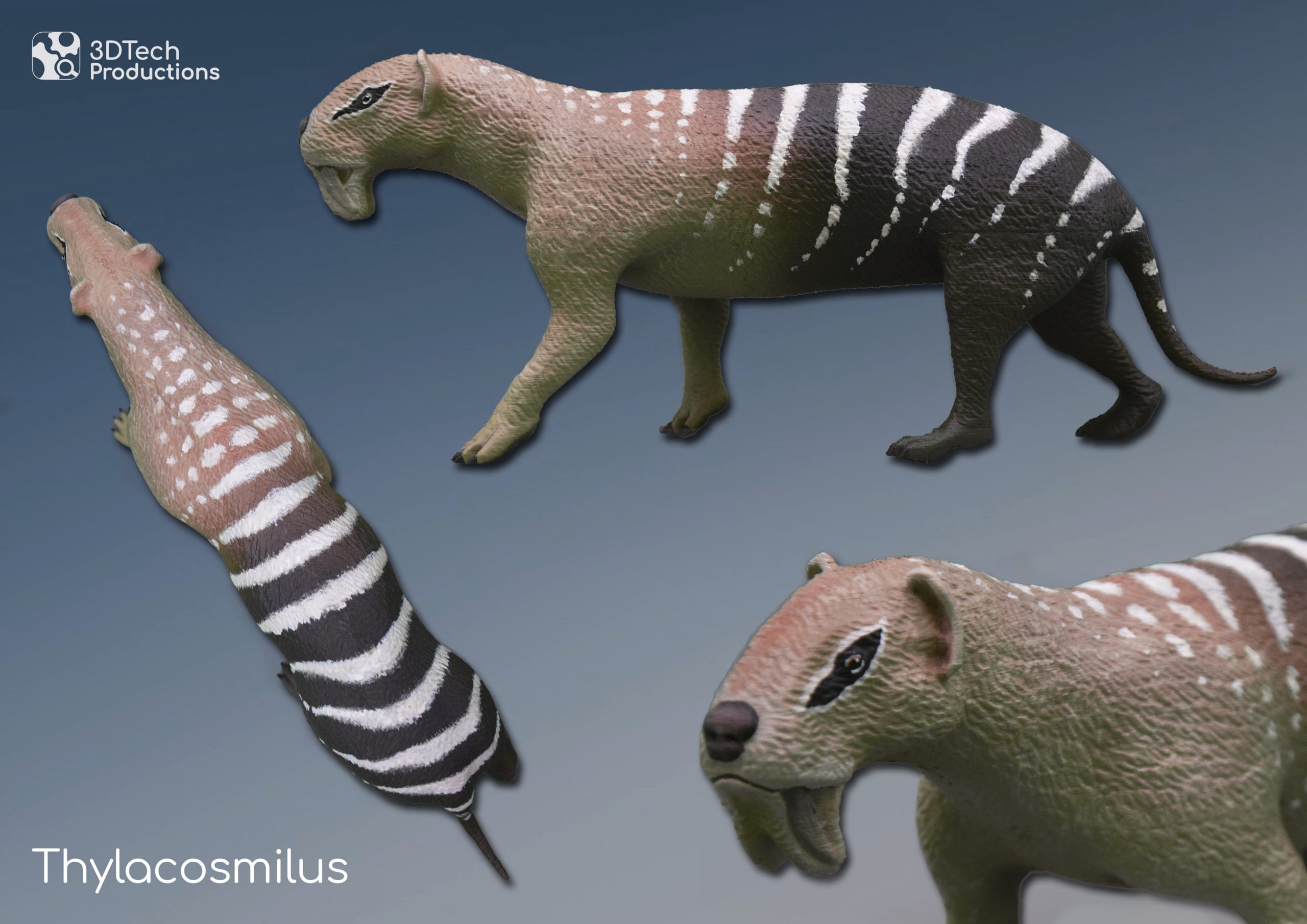 THYLACOSMILUS ATROX, Model, Paleoartistic Reconstruction ...