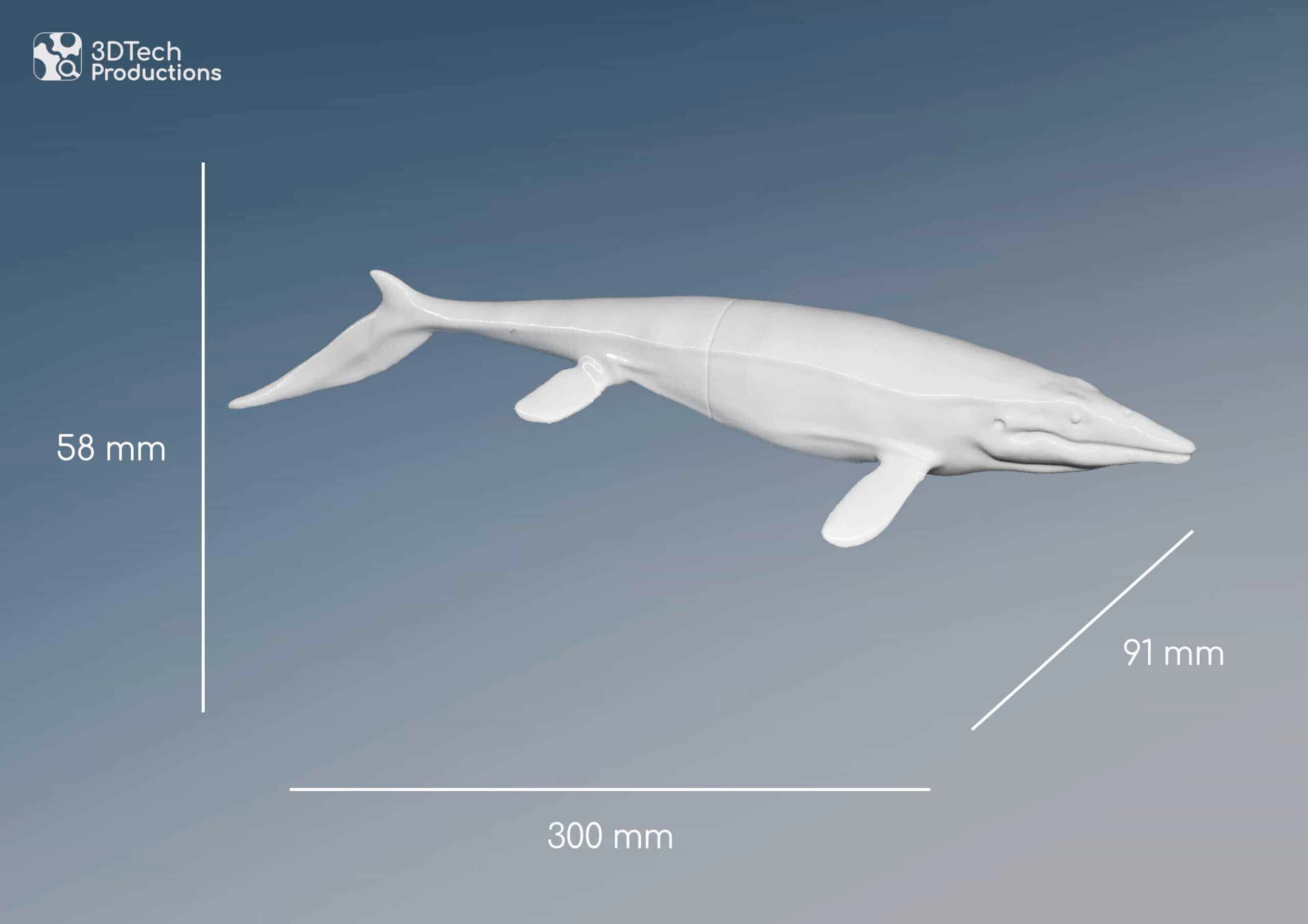 MOSASAURUS HOFFMANNI, 3D Print,scientifically Accurate Model ...