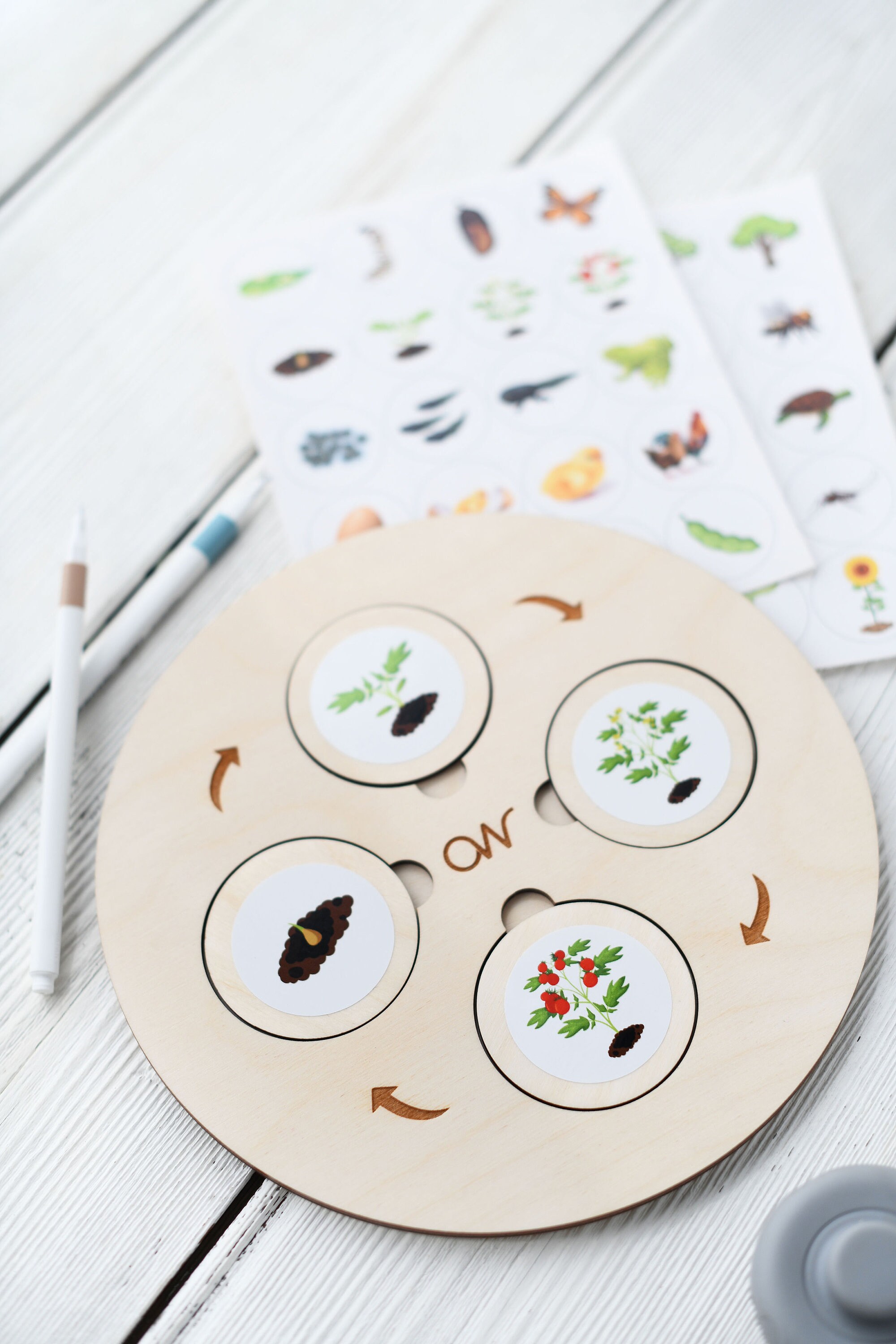 Life Cycle Set Learning Wooden Toy Montessori Kids Game - Etsy