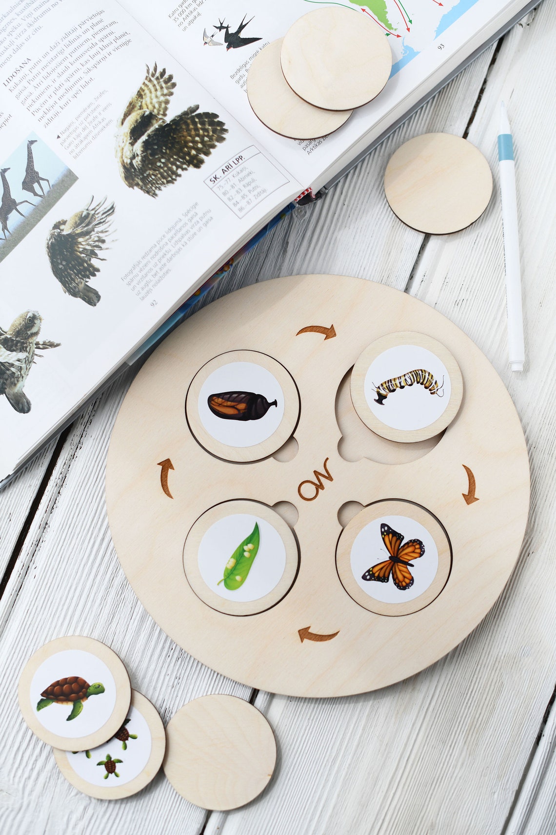 Life Cycle Set Learning Wooden Toy Montessori Kids Game - Etsy UK