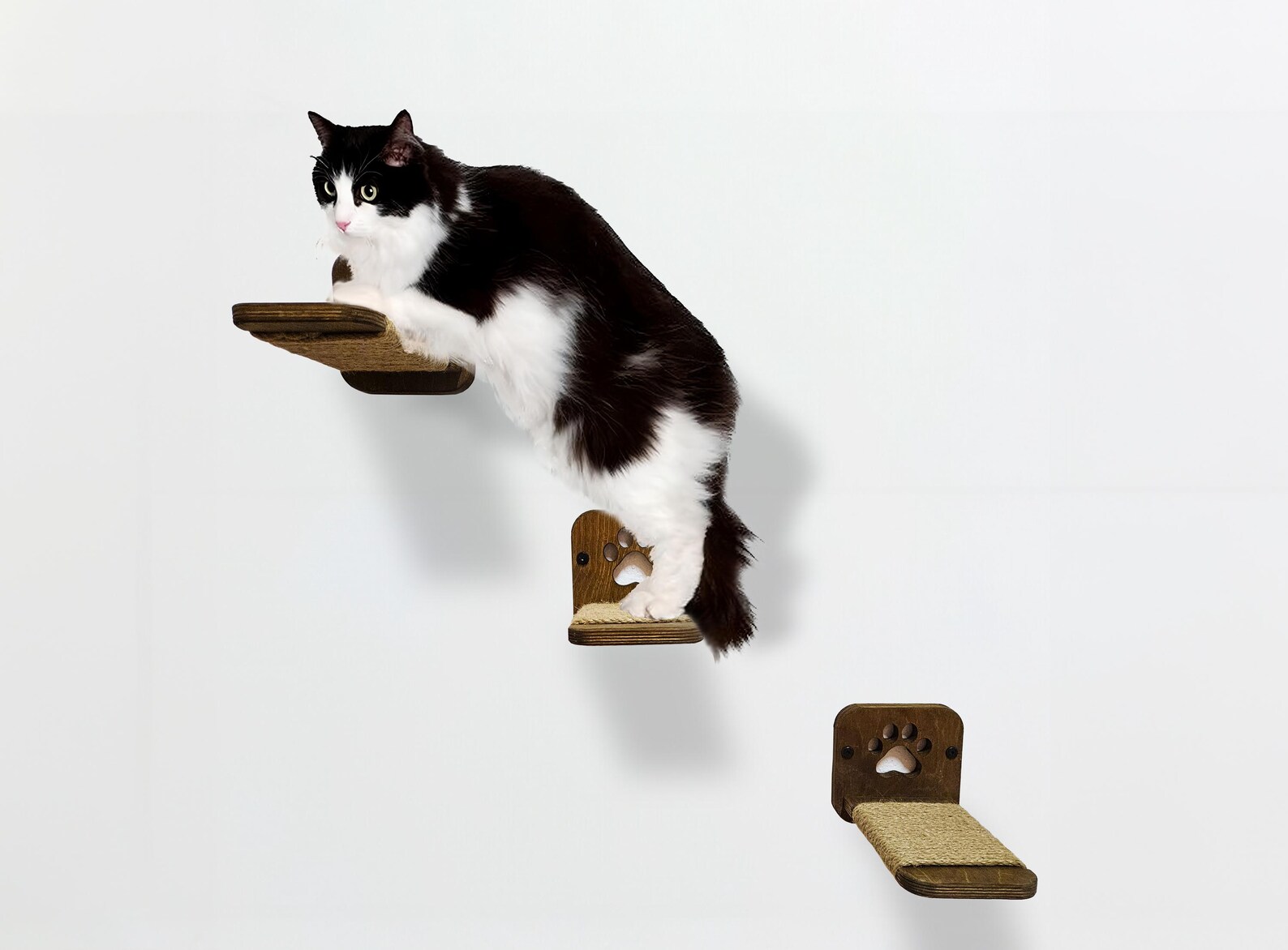 Wall-mounted Cat Steps, Modern Cat Furniture, Floating Cat Shelf, Cat ...