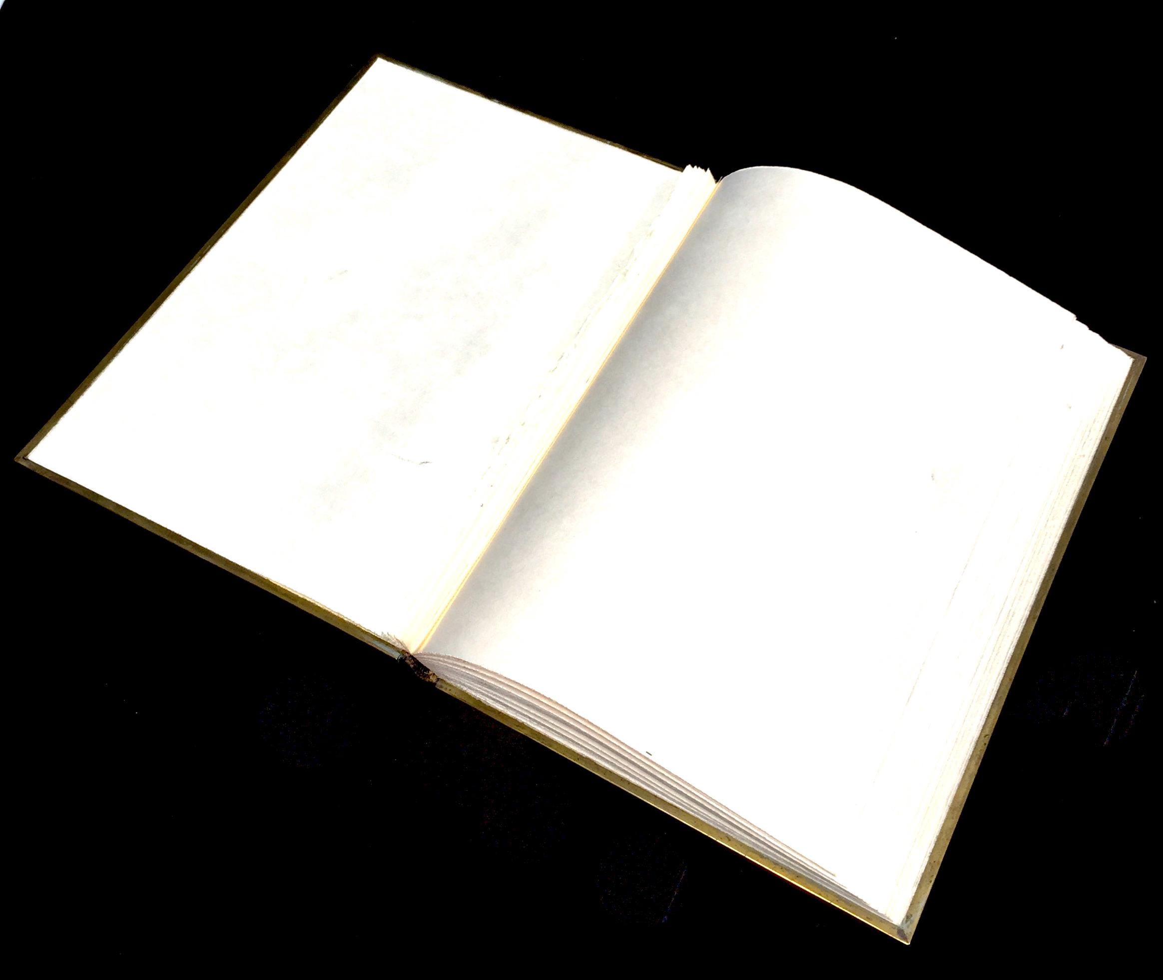 Antique 19th Century Lacquered Blotter Notepad With Brass Decorative ...