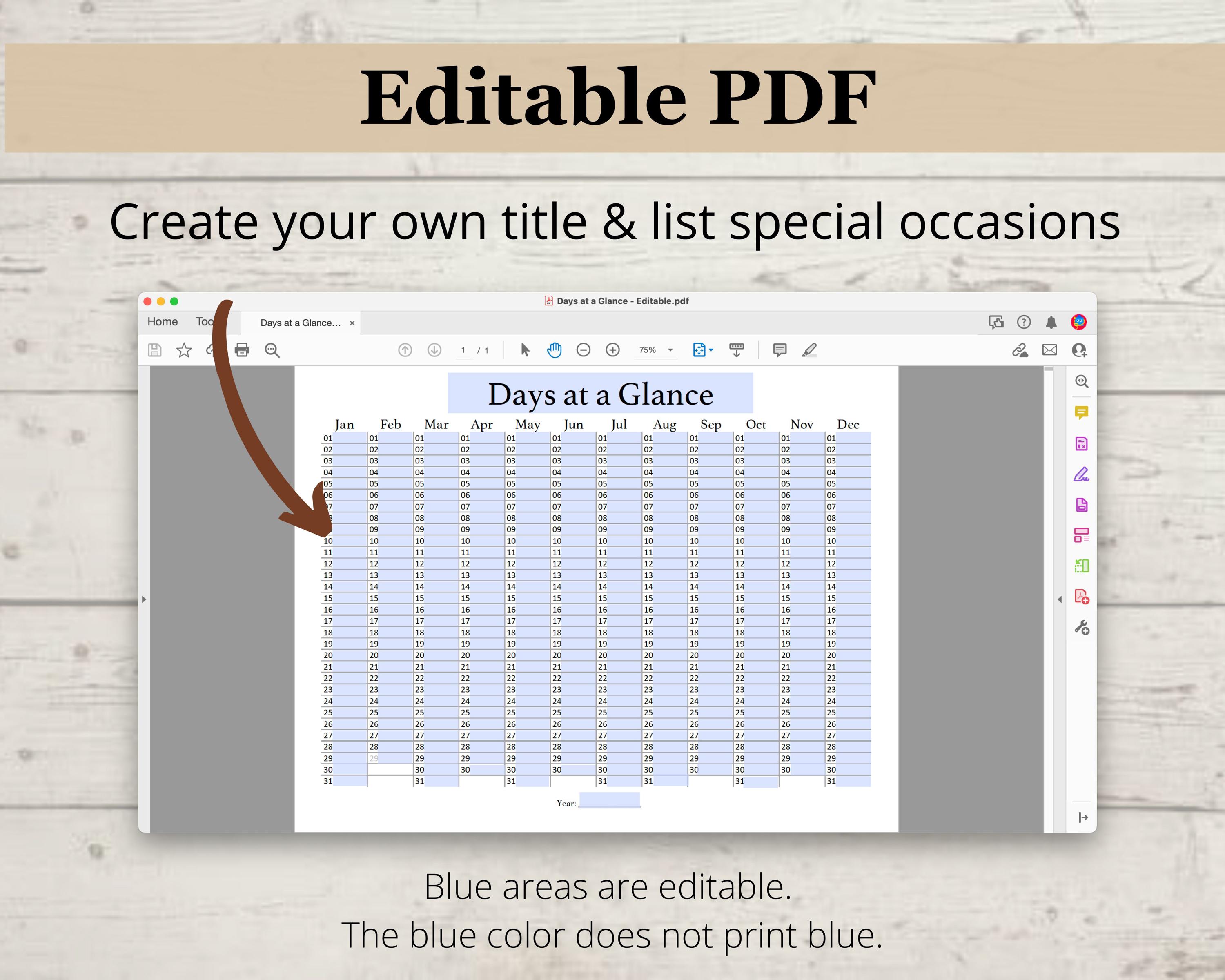 Printable Days at a Glance, 365 Day Calendar, Year at a Glance ...