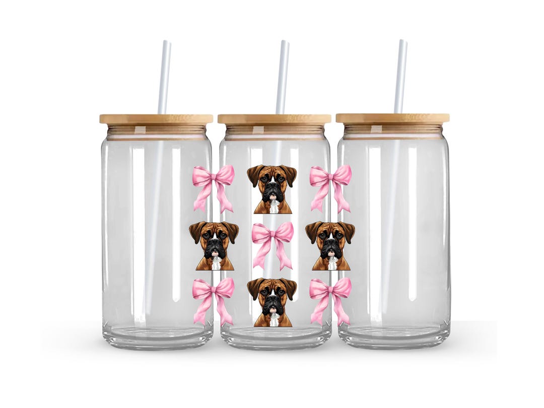 Boxer & Bow - Glass Can Cup - 473ml - Aesthetic Drinkware - Iced Coffee ...