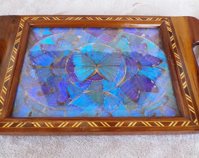 Art Deco Blue Butterfly Wing Small Inlaid Tray - Etsy