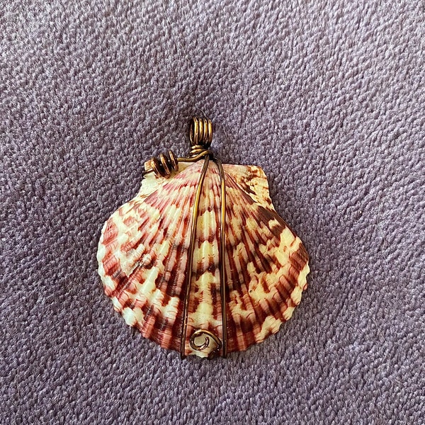 Olive Shell Pendant - Etsy