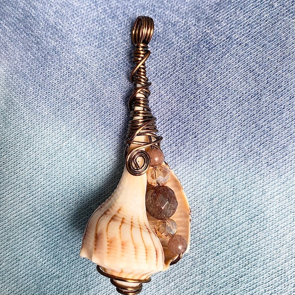 Lightning Whelk - Etsy