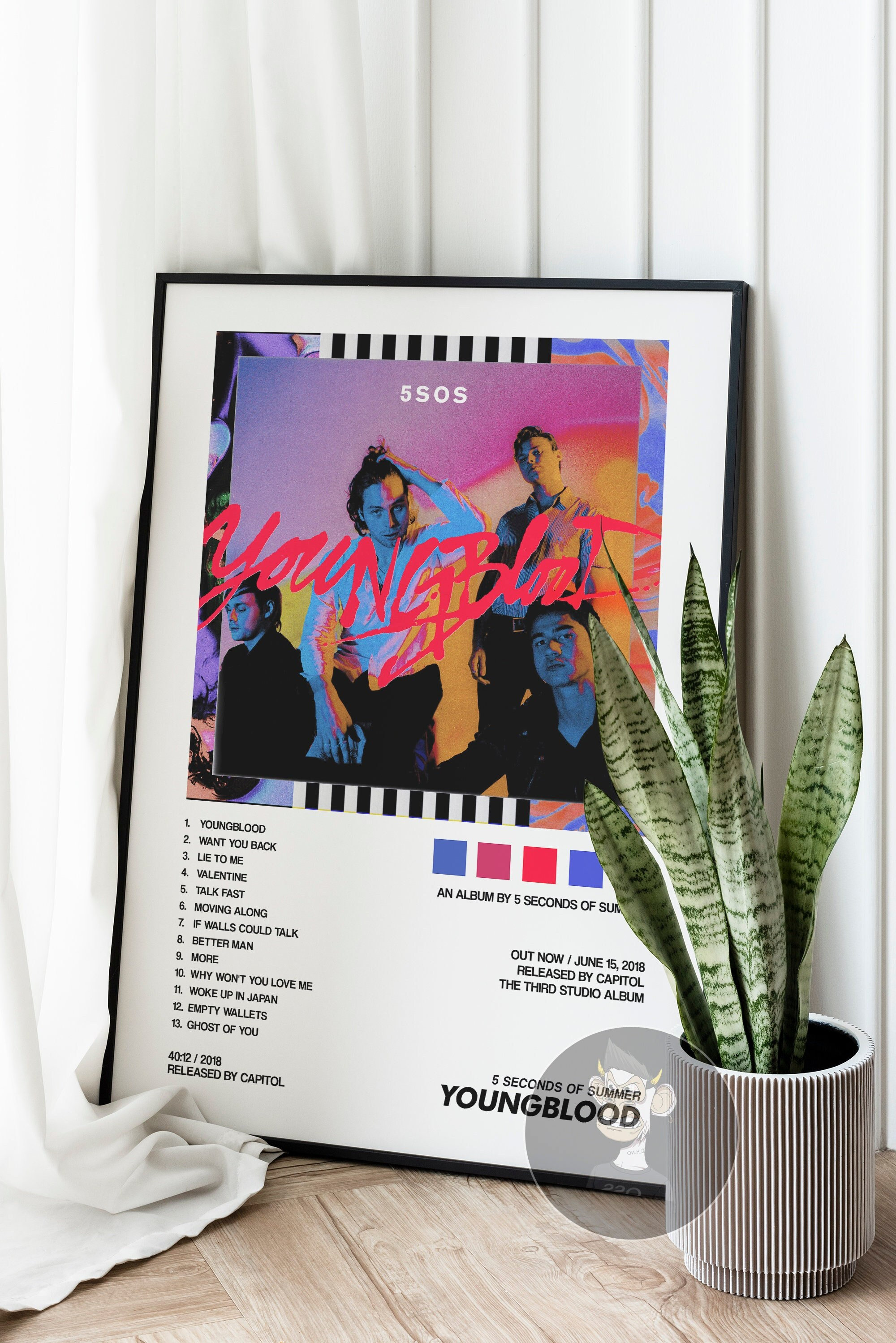 Try Hard Album Cover 5sos