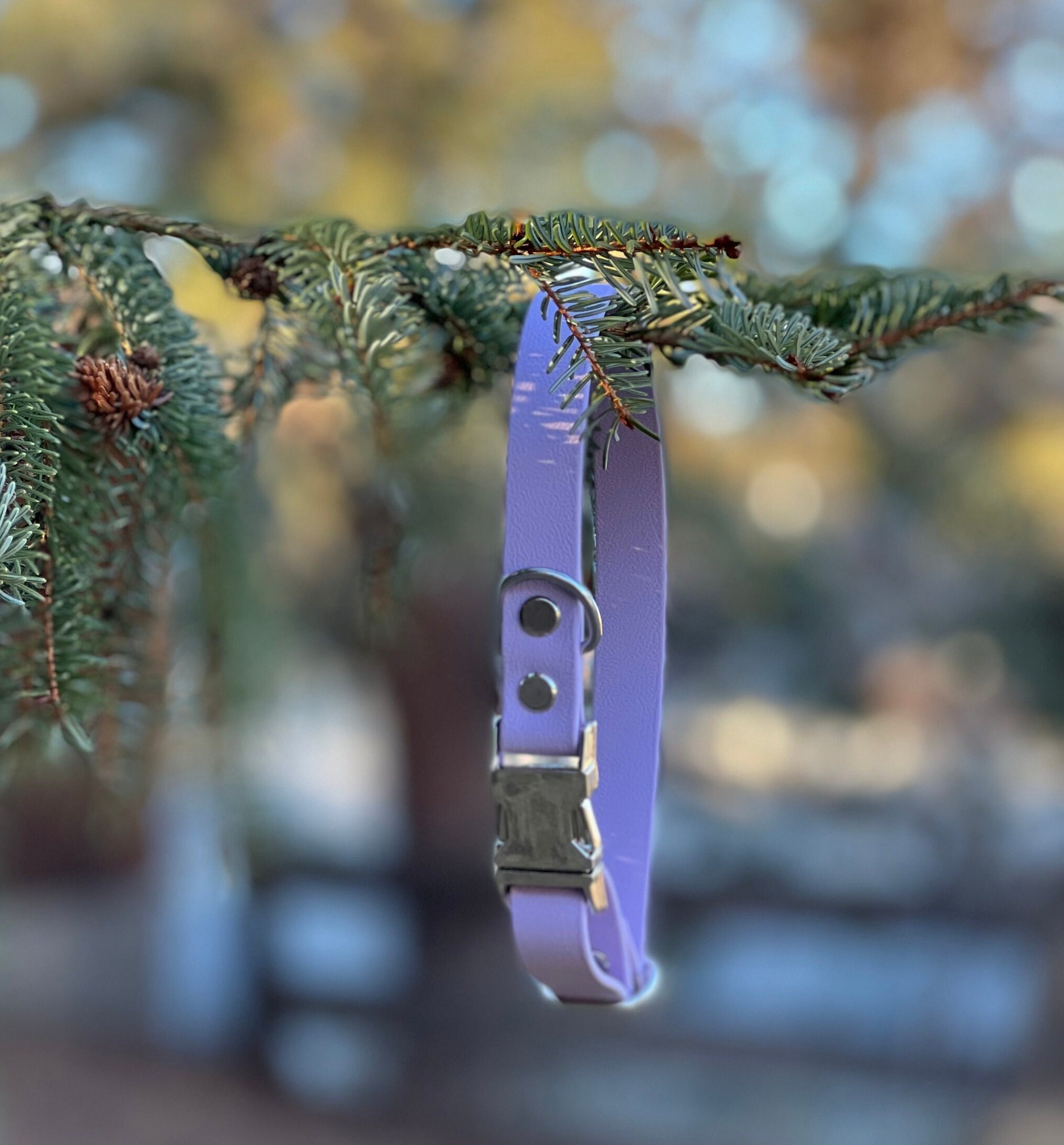 Lavender Biothane Collar & 5ft Leash Set - Etsy