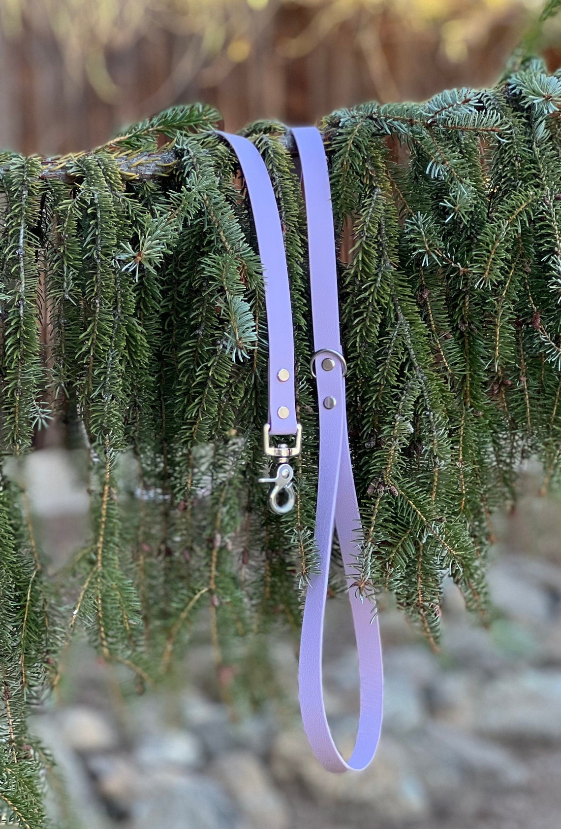 Lavender Biothane Collar & 5ft Leash Set - Etsy