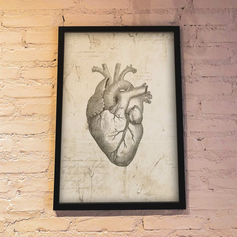 Vintage Anatomy, Human Heart Art Print, Wall Art, A4 & A3, PDF and JPG ...