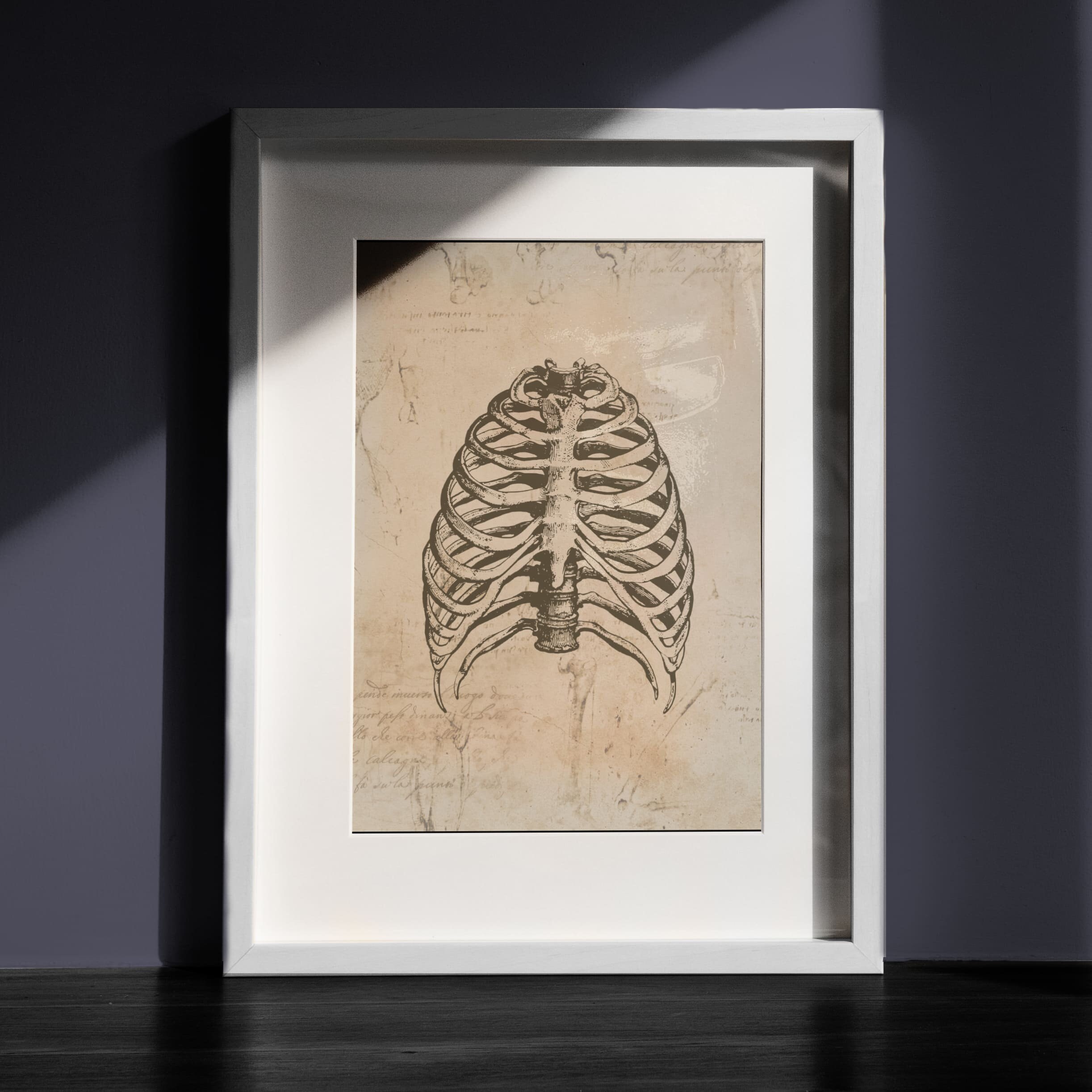 Vintage Anatomy, Skeleton Ribcage Art Print, Wall Art, A4 & A3, PDF and ...