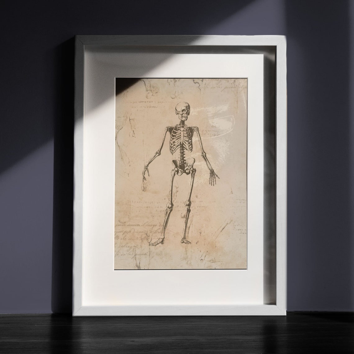 Vintage Anatomy, Skeleton Front Art Print, Wall Art, A4 & A3, PDF and ...