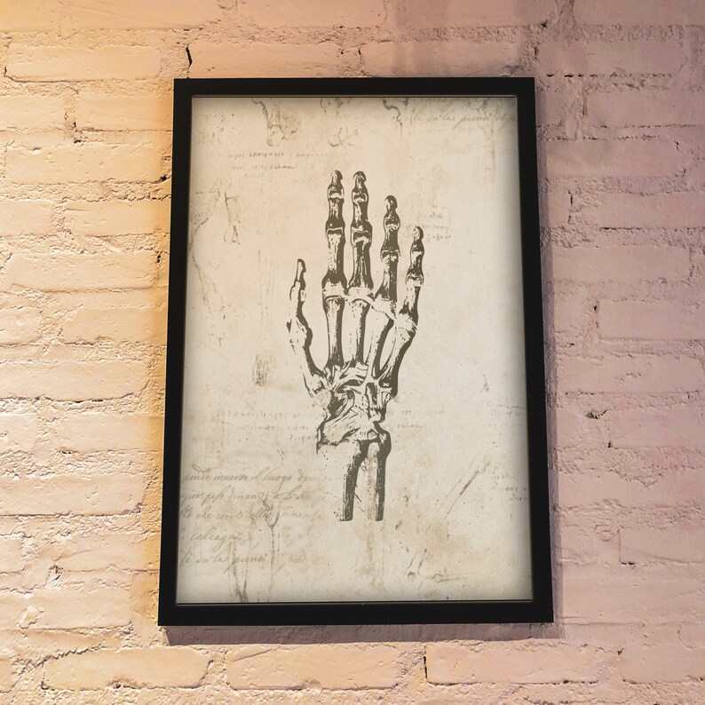 Vintage Anatomy, Skeleton Right Hand Art Print, Wall Art, A4 & A3, PDF ...