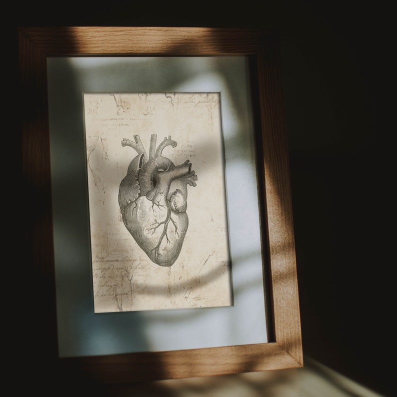 Vintage Anatomy, Human Heart Art Print, Wall Art, A4 & A3, PDF and JPG ...