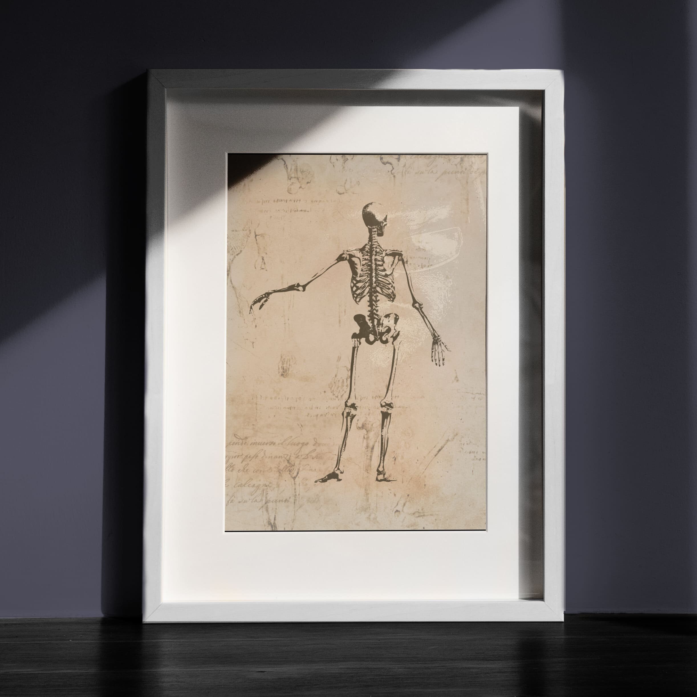 Vintage Anatomy, Skeleton Behind Art Print, Wall Art, A4 & A3, PDF and ...