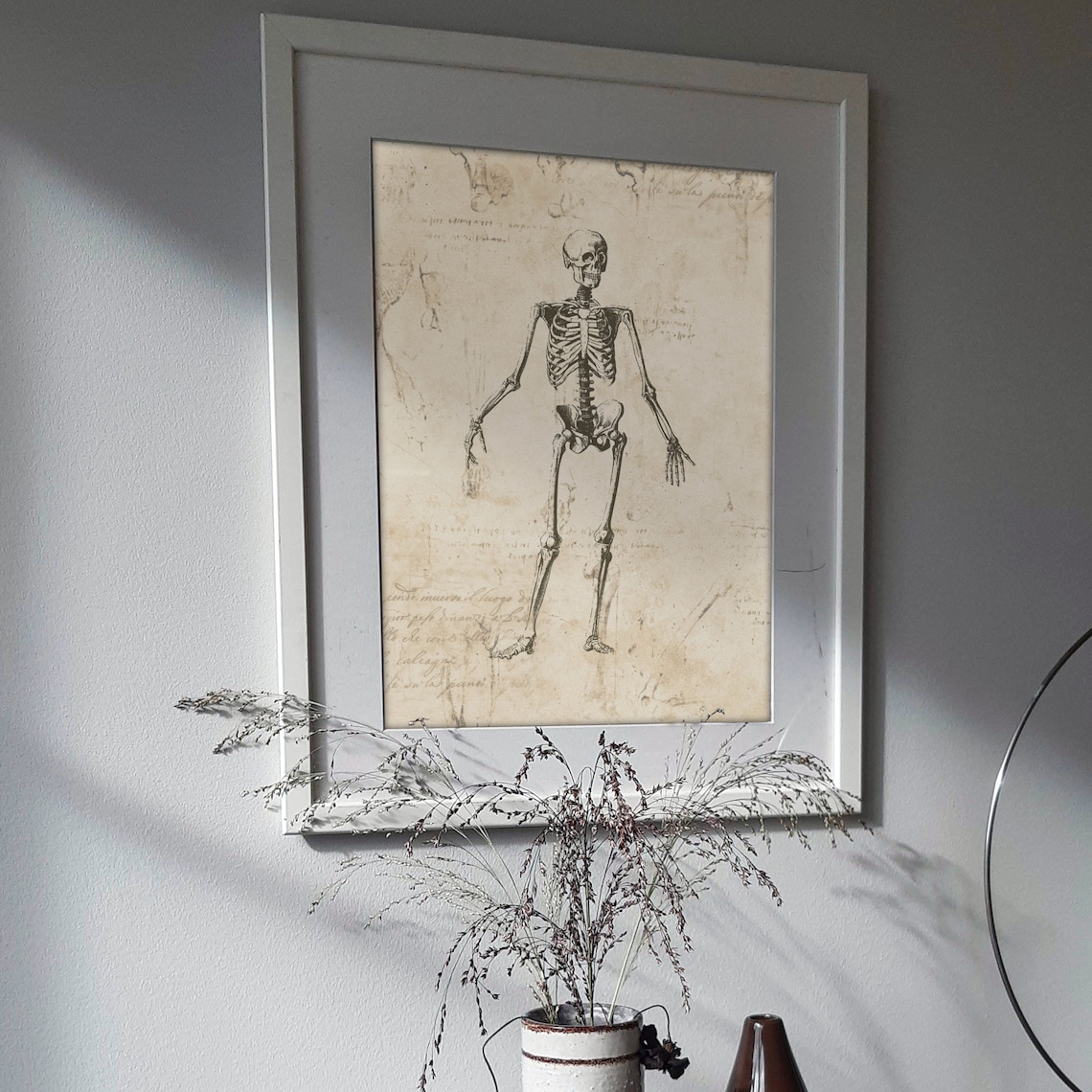 Vintage Anatomy, Skeleton Front Art Print, Wall Art, A4 & A3, PDF and ...