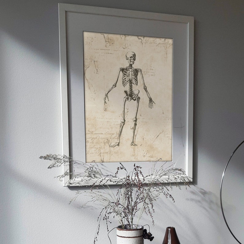 Vintage Anatomy, Skeleton Front Art Print, Wall Art, A4 & A3, PDF and ...