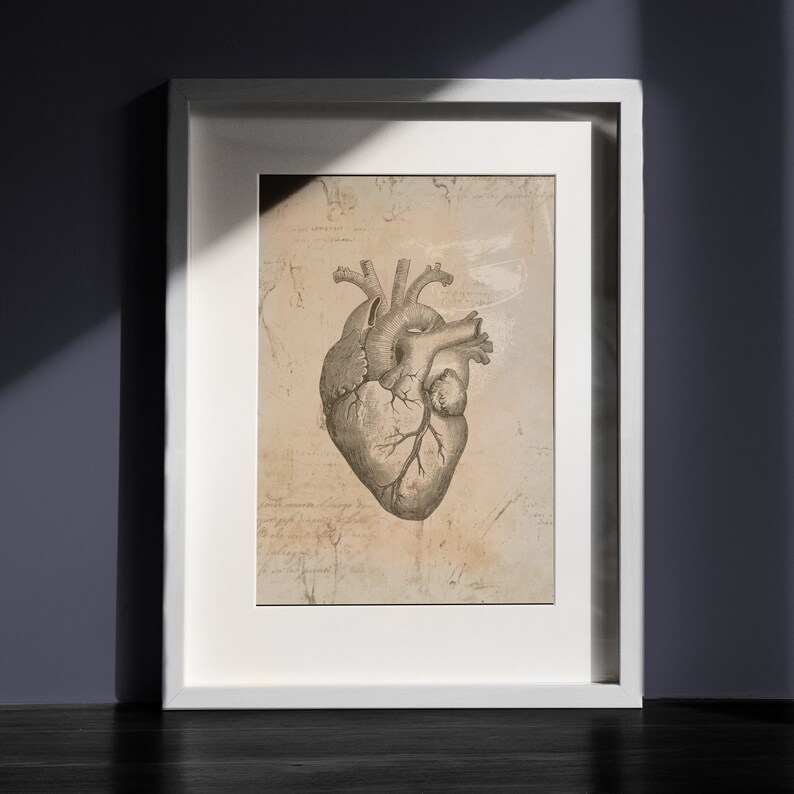 Vintage Anatomy, Human Heart Art Print, Wall Art, A4 & A3, PDF and JPG ...
