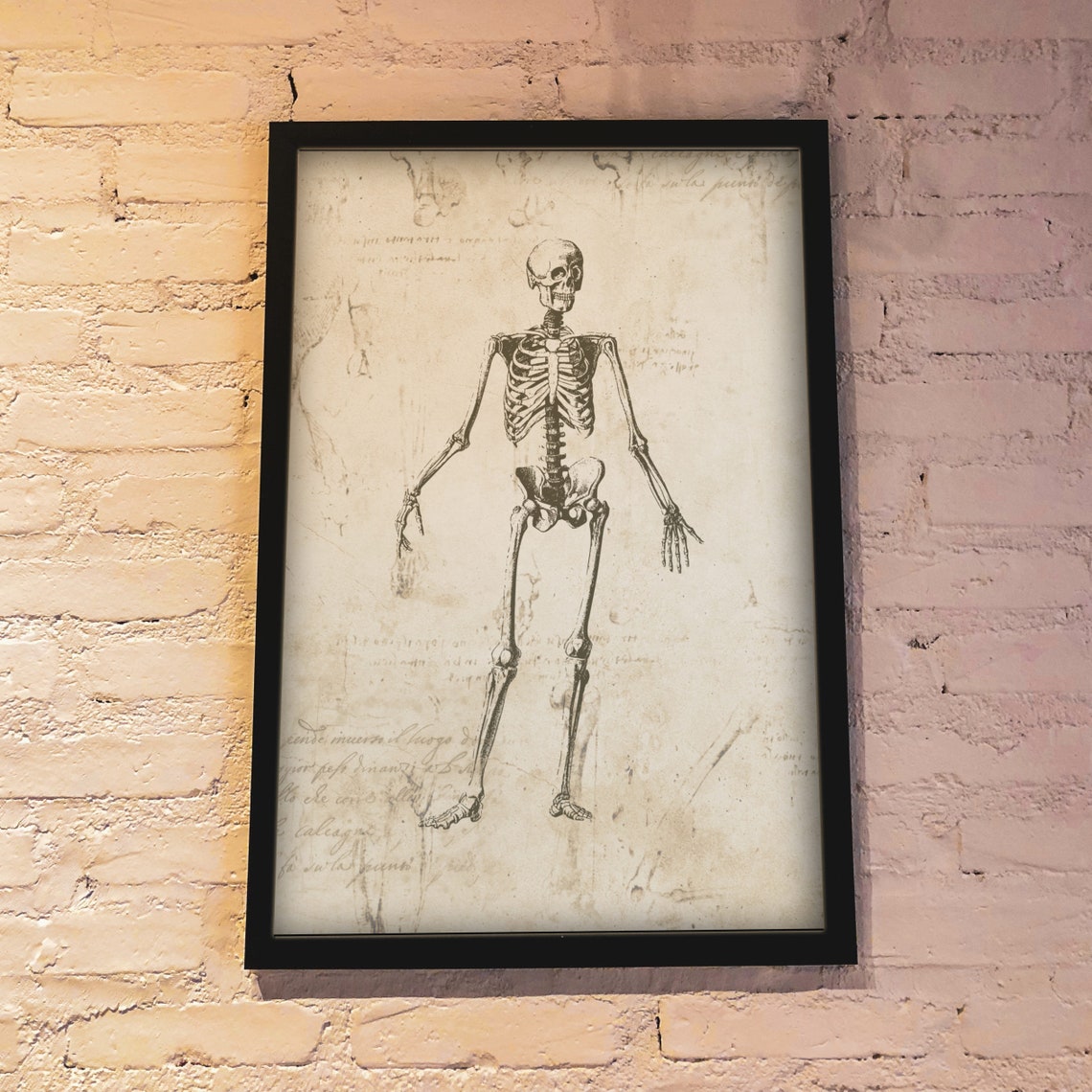 Vintage Anatomy, Skeleton Front Art Print, Wall Art, A4 & A3, PDF and ...