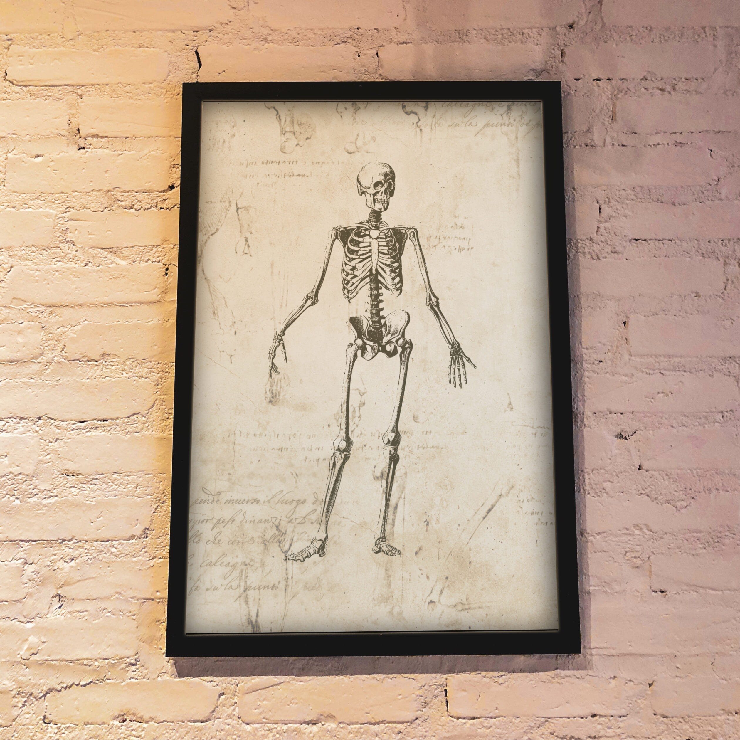 Vintage Anatomy, Skeleton Front Art Print, Wall Art, A4 & A3, PDF and ...