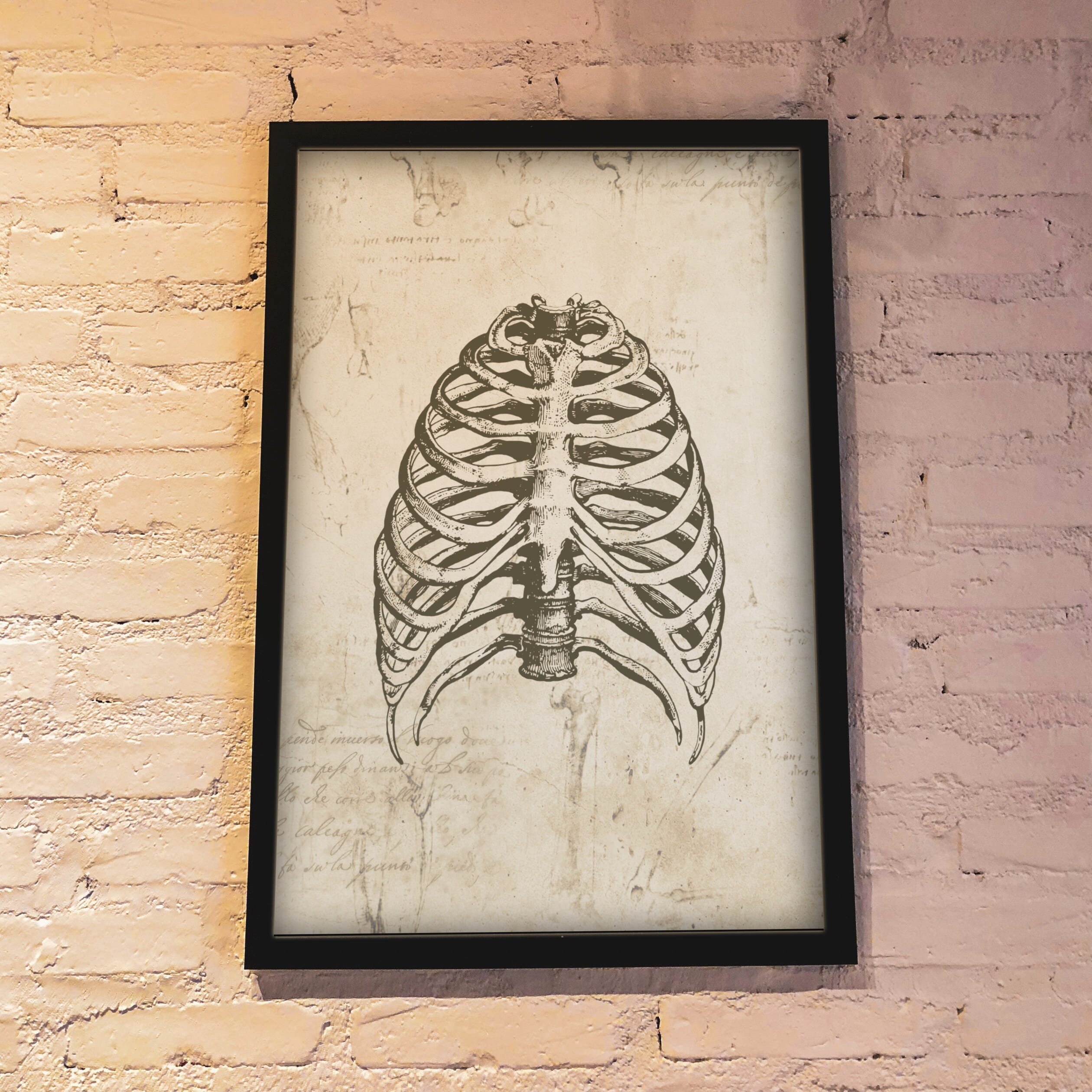 Vintage Anatomy, Skeleton Ribcage Art Print, Wall Art, A4 & A3, PDF and ...